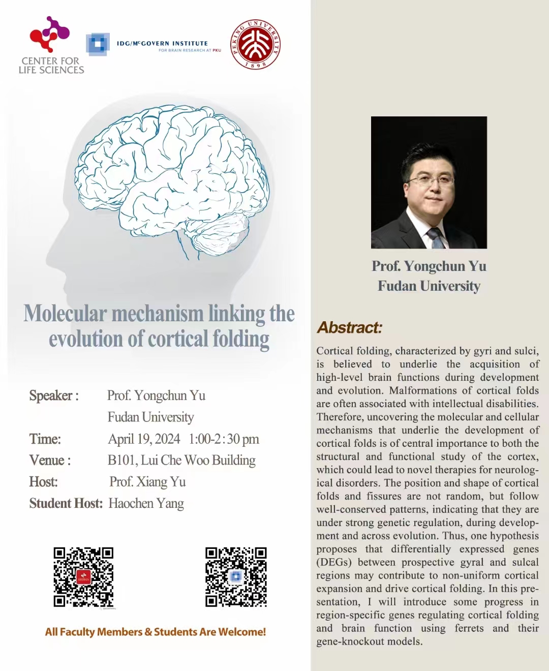 Molecular mechanism linking the evolution of cortical folding